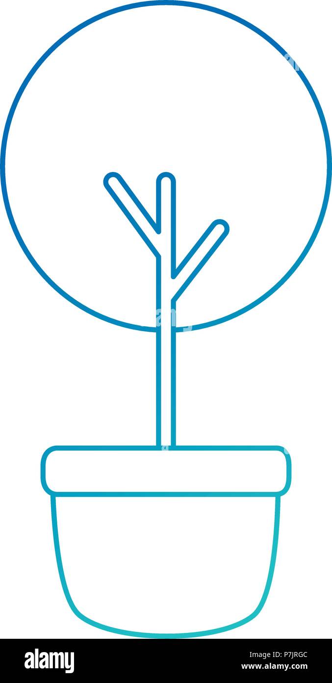 tree plant in pot Stock Vector Image & Art - Alamy