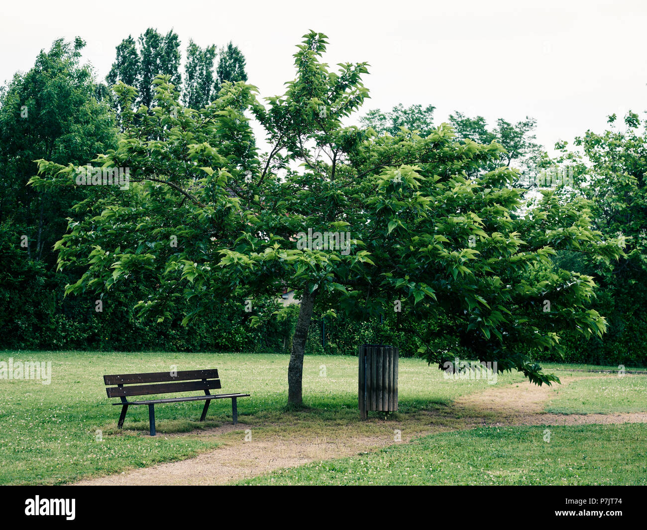 Crossing paths hi-res stock photography and images - Alamy