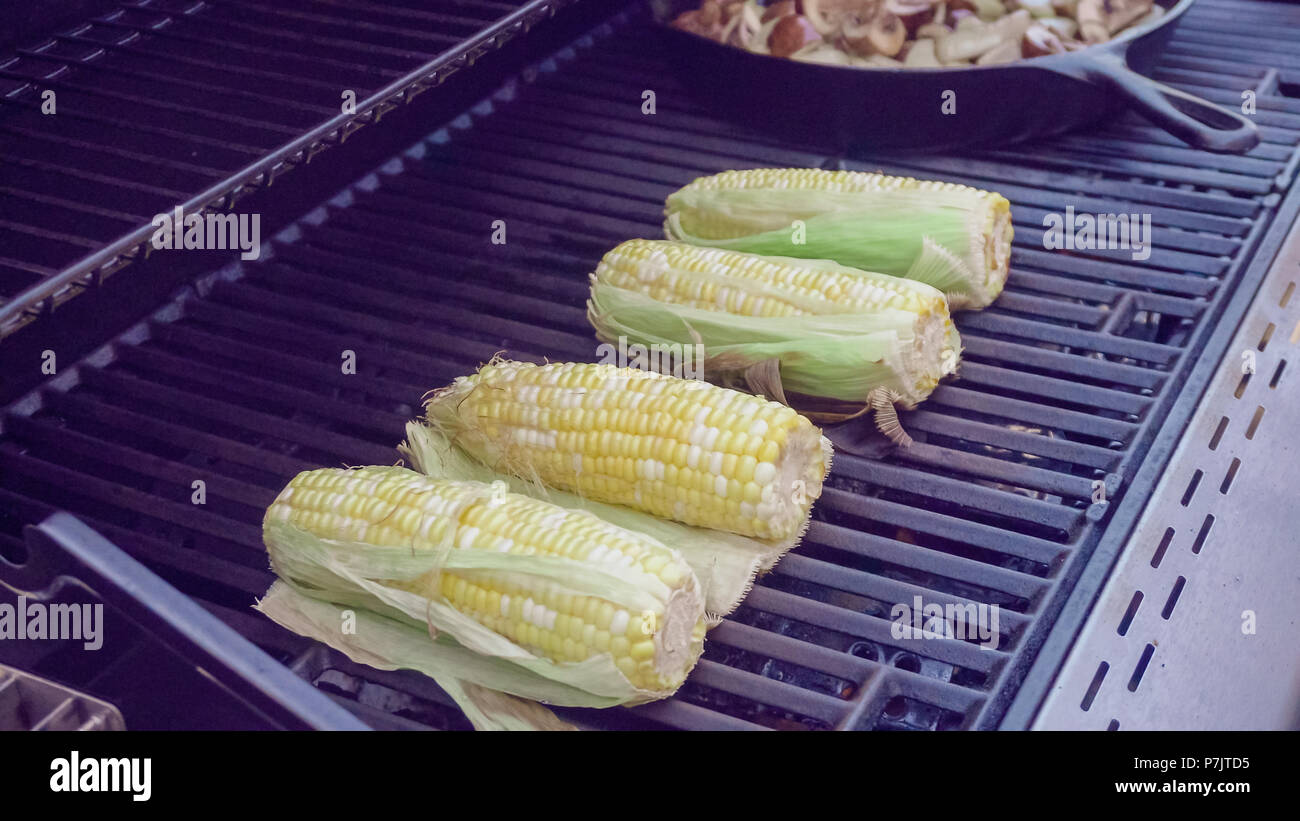 Step by step. Grilling fresh corn on outdoor gas grill Stock Photo - Alamy
