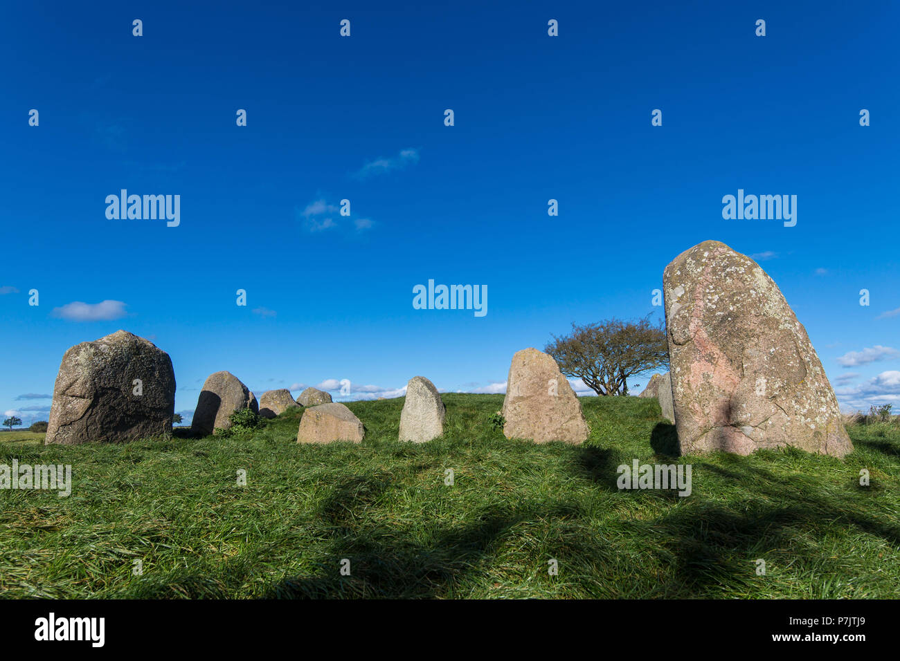 Nobbin megalithic tomb Stock Photo - Alamy