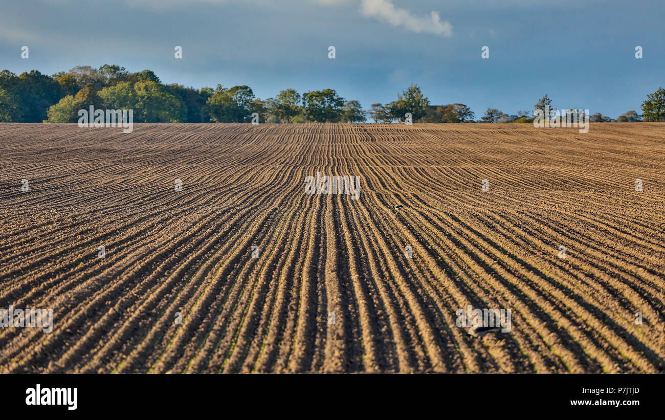Harrowed Field High Resolution Stock Photography and Images - Alamy