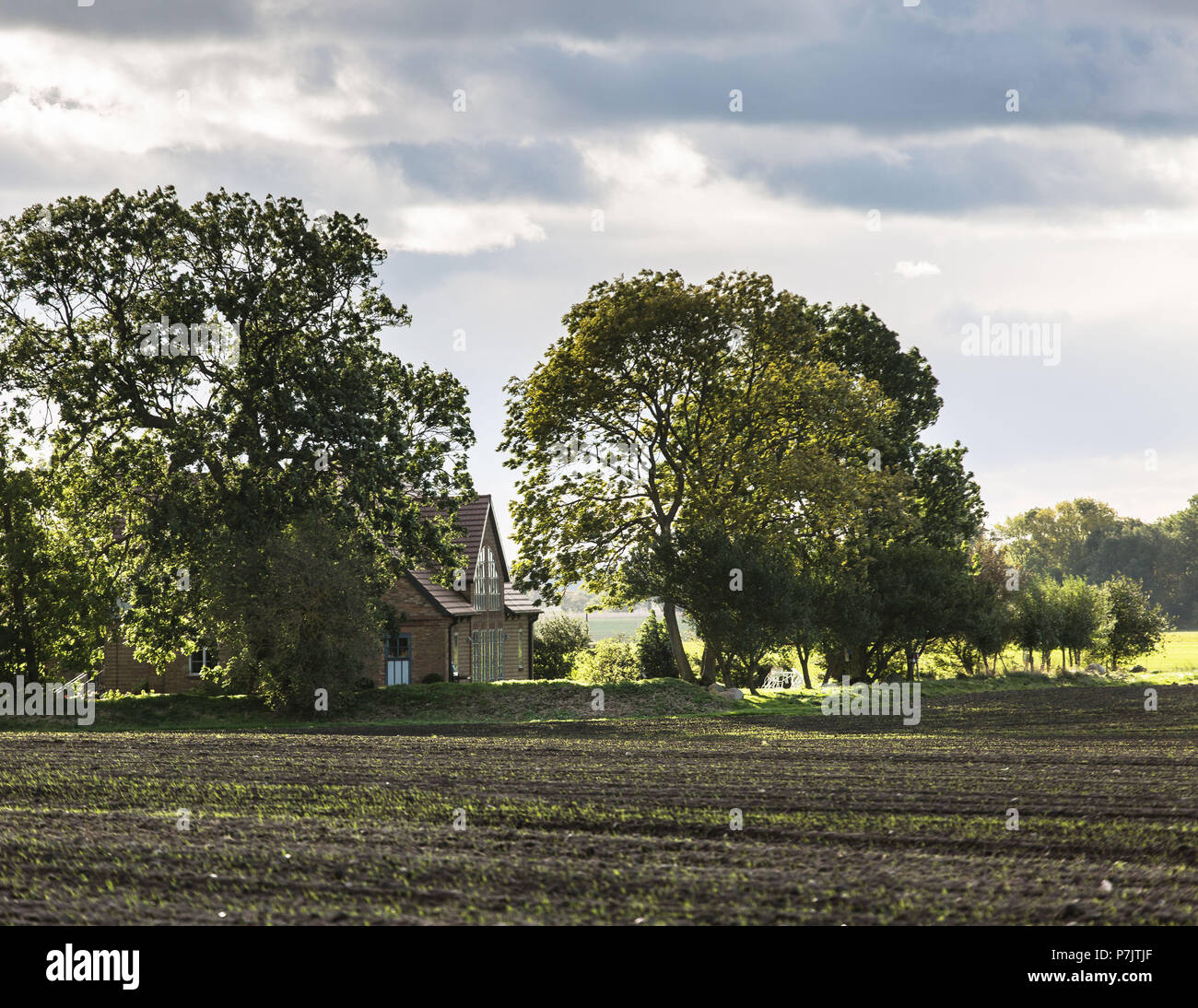 Farmhouse surrounded by trees Stock Photo - Alamy