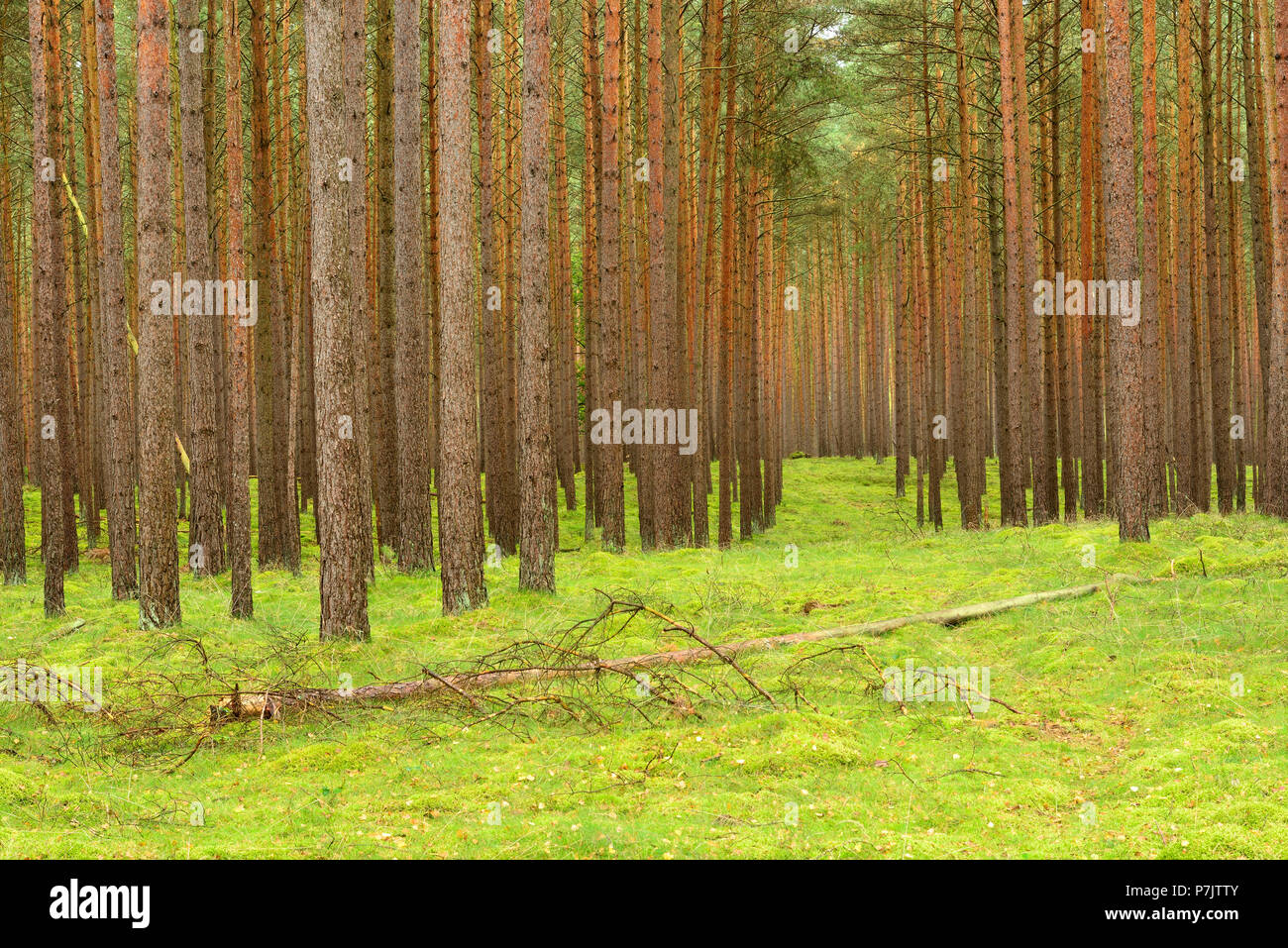 Monoculture hi-res stock photography and images - Alamy