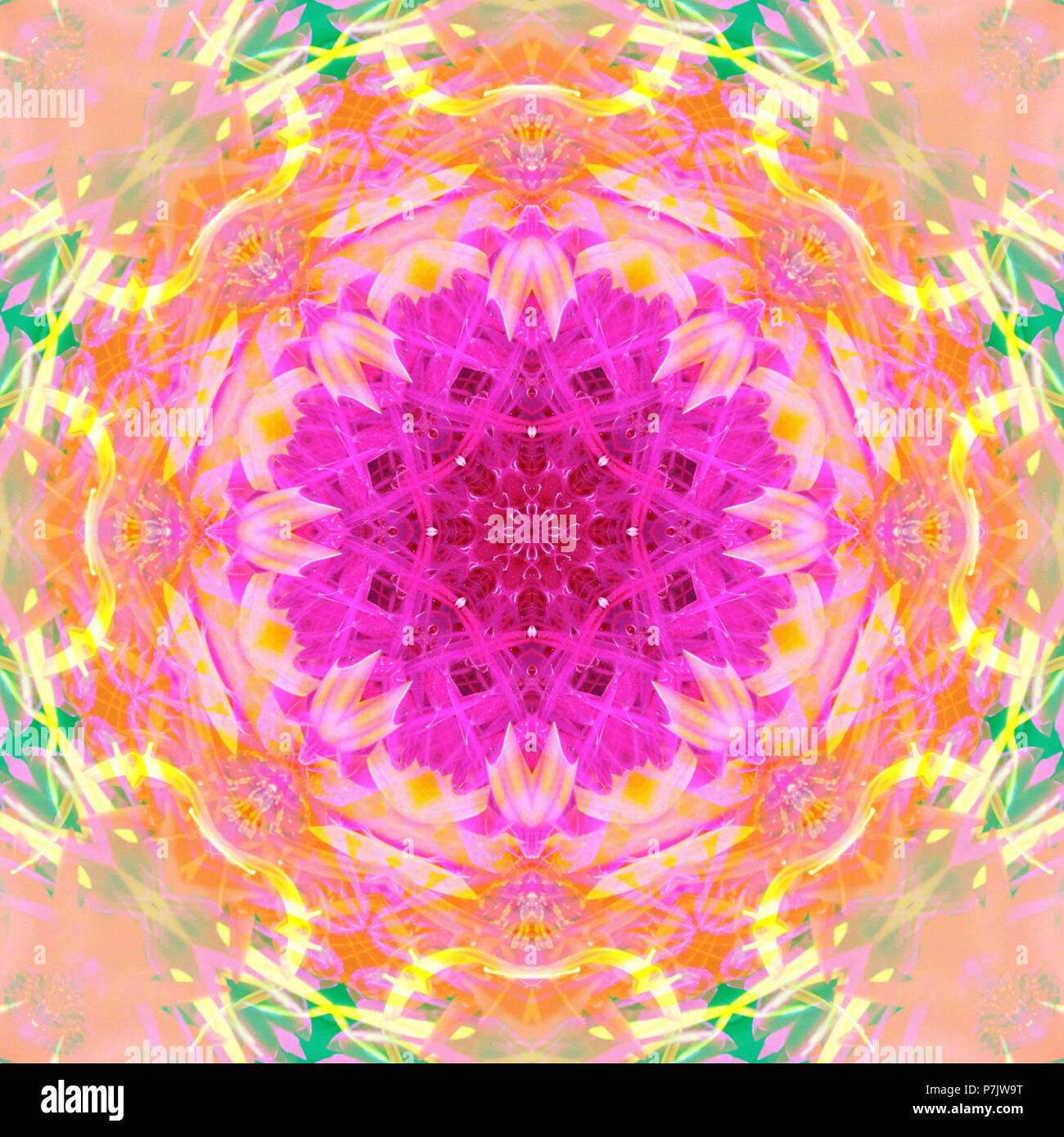 Photographic flower mandala, pink, rose-tinted, orange, yellow, salmon ...