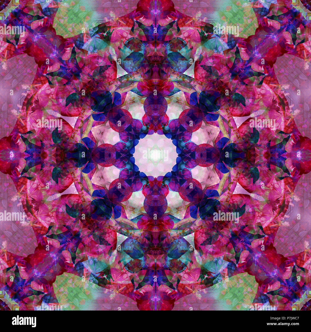 Photographic flower mandala, violet, blue, pink Stock Photo - Alamy