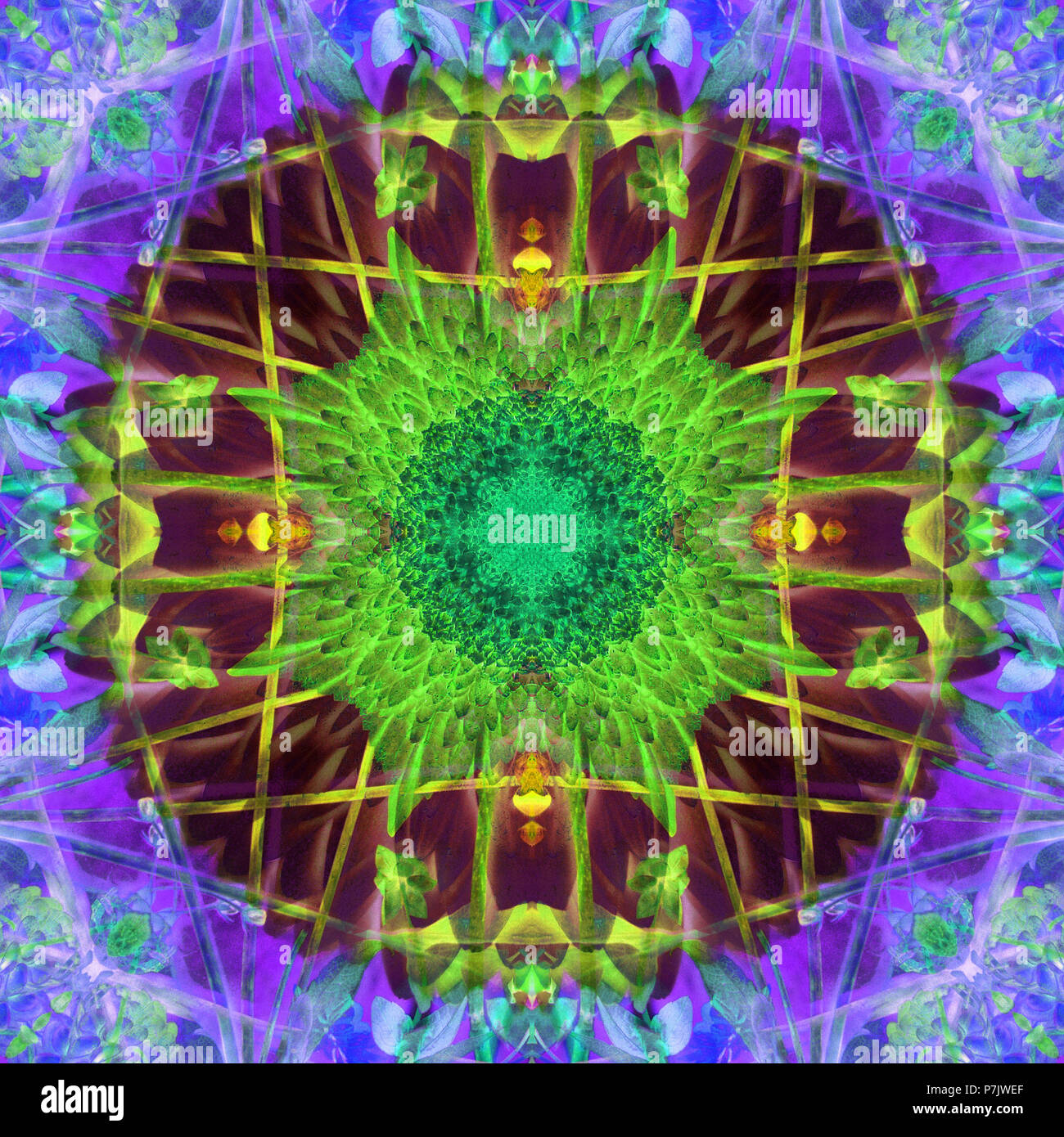 Purple and violet hi-res stock photography and images - Alamy