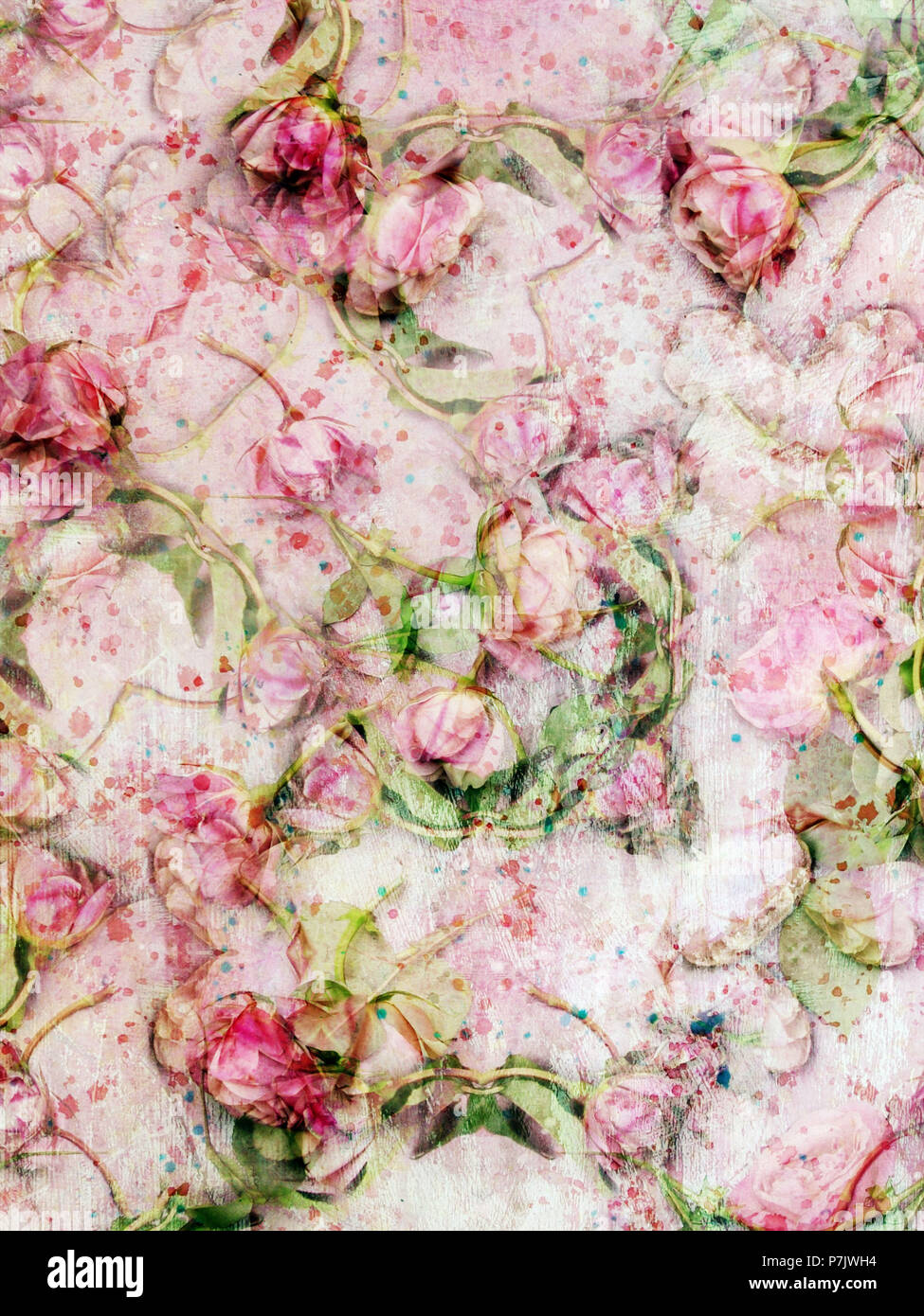 Compound flowers hi-res stock photography and images - Alamy