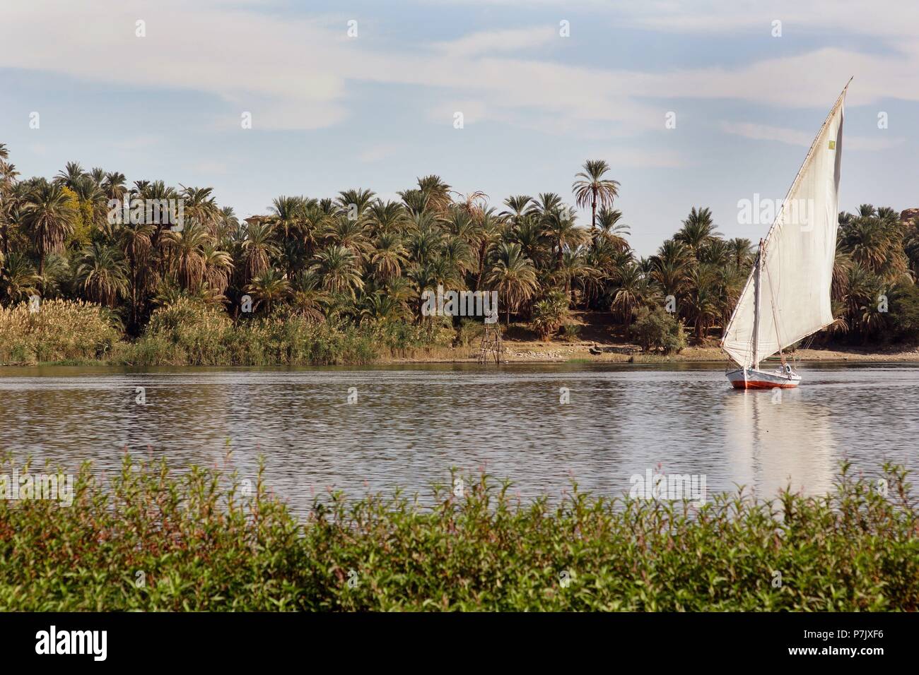 El rio nilo hi-res stock photography and images - Alamy