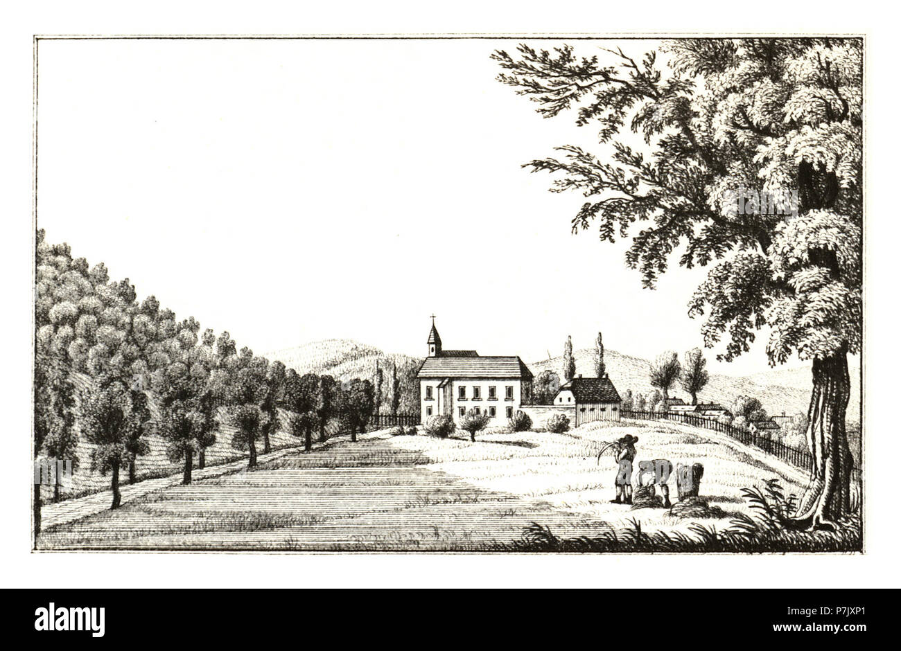 252 Schloss Rothwein, Radvina - J.F.Kaiser Lithografirte Ansichten der ...