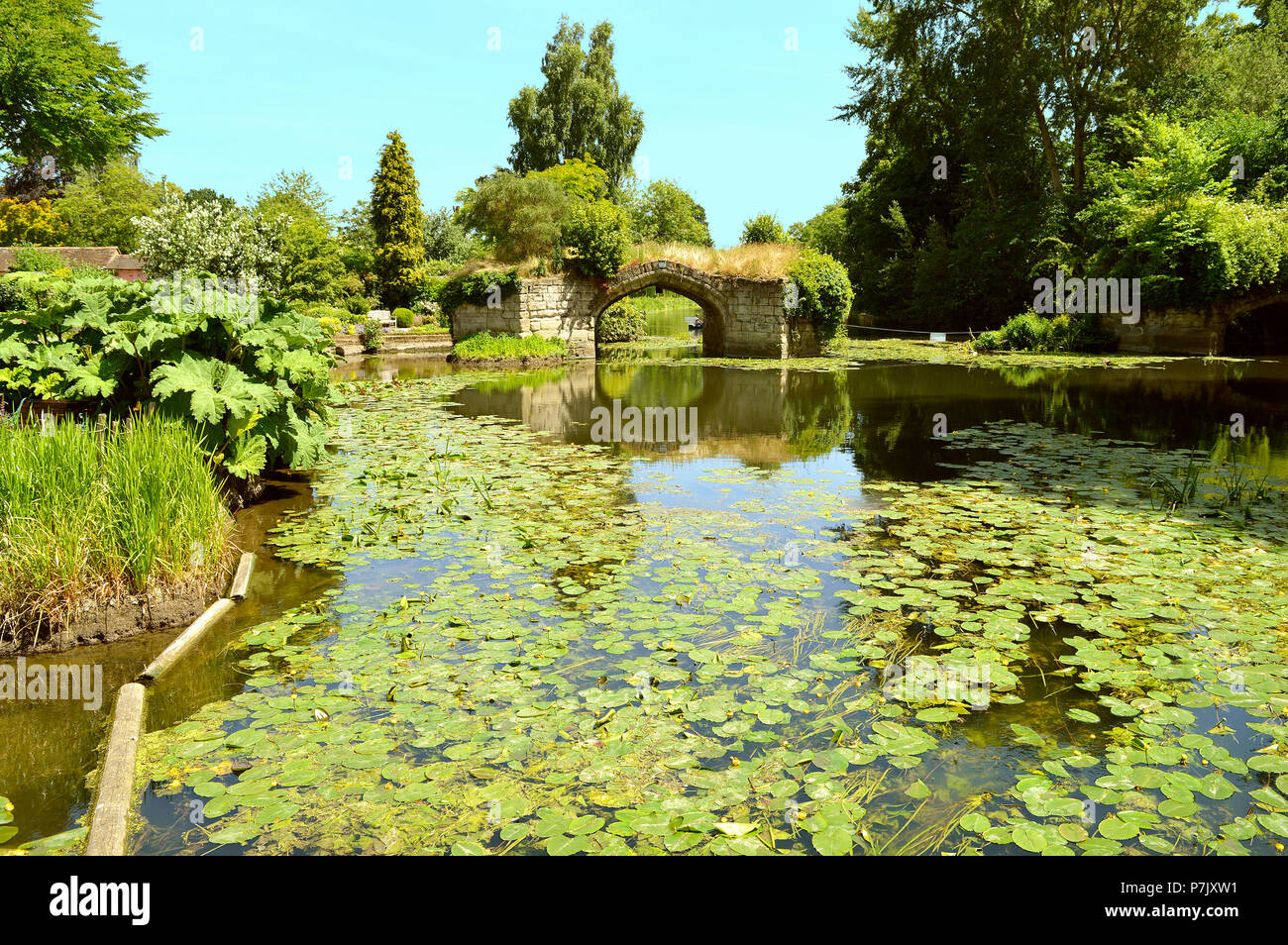 Warwick castle river summer hi-res stock photography and images - Alamy