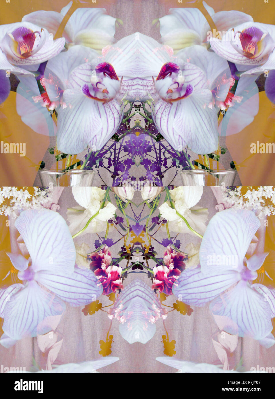 Compilation hi-res stock photography and images - Alamy