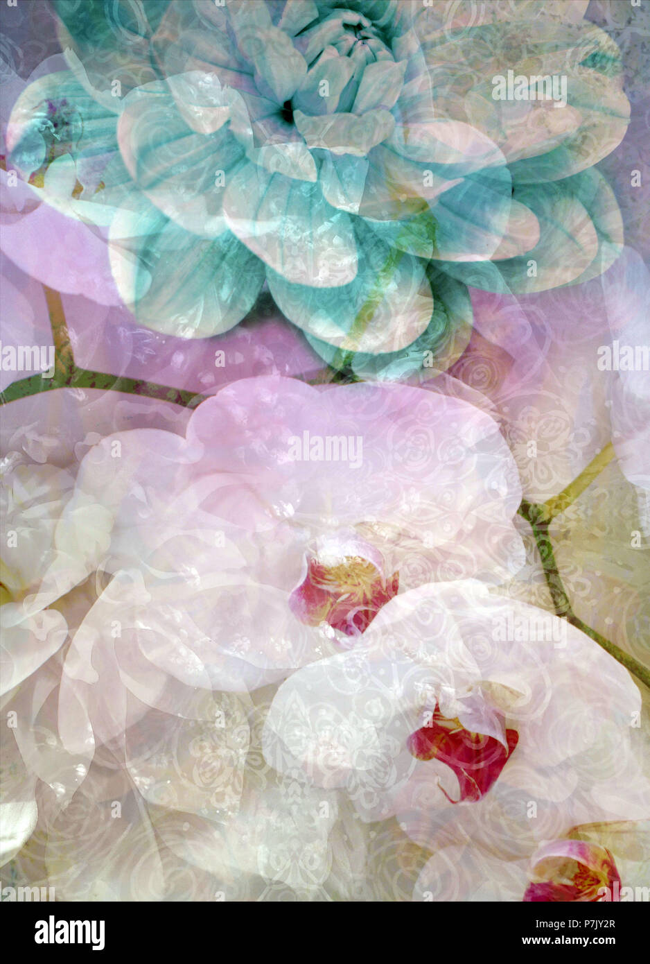 composing, flowers, different, detail Stock Photo - Alamy