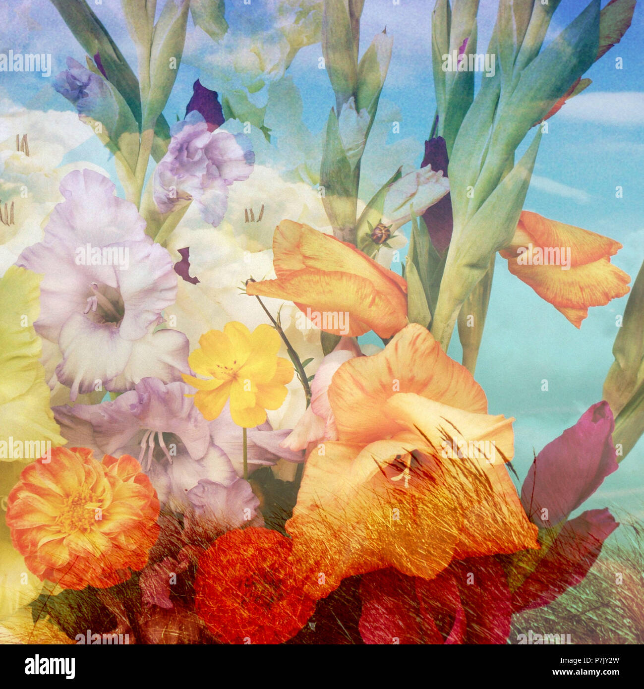 composing, flowers, different, detail Stock Photo - Alamy