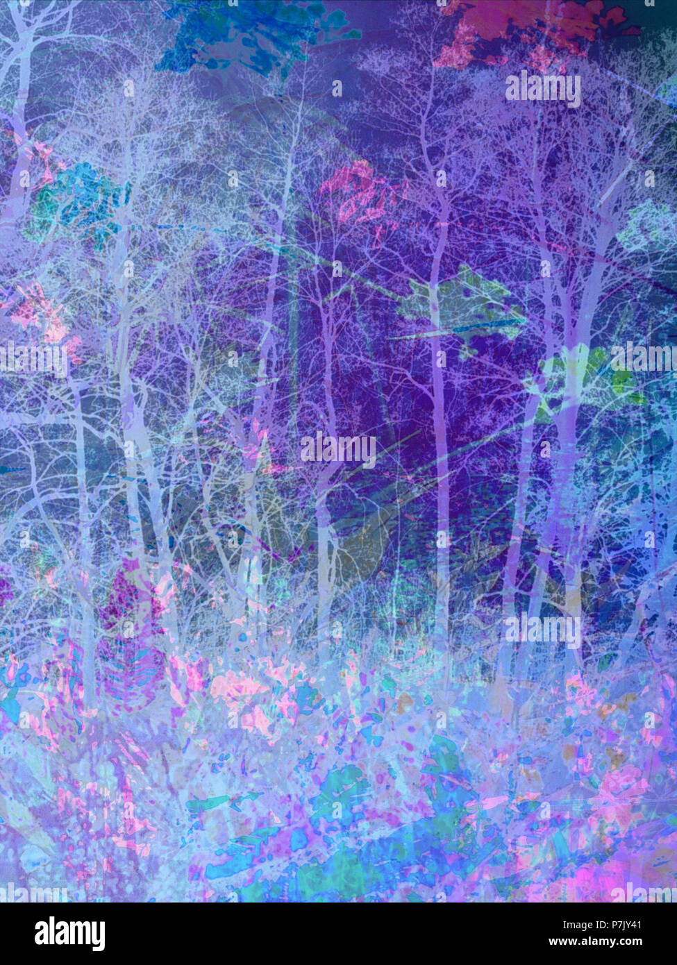 composing, trees, shrubs, branches, color filter, blue, purple, violet ...