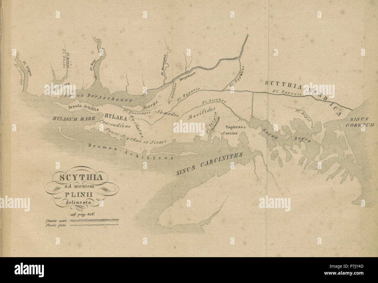 Scythia hi-res stock photography and images - Alamy