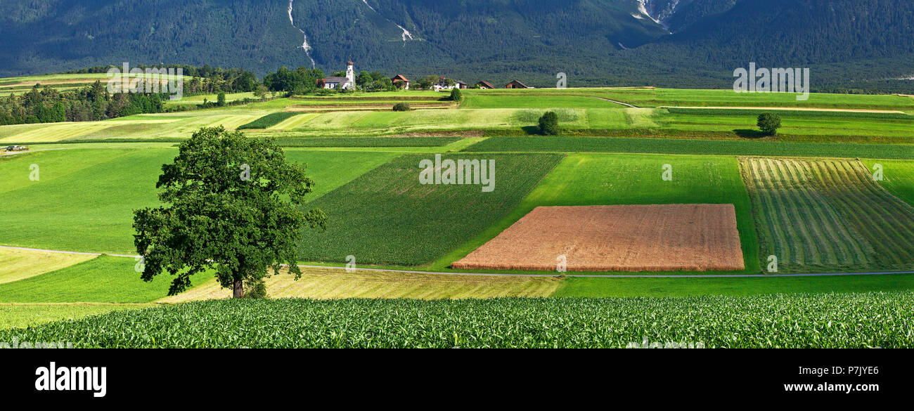 Austria, Tyrol, fields at the Mieminger plateau Stock Photo - Alamy