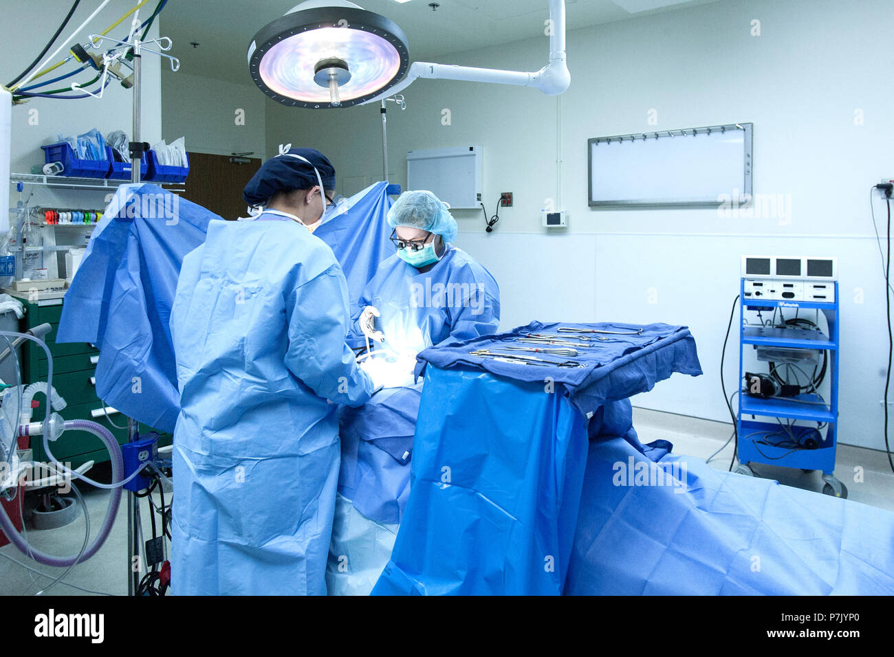 Procedure Room Vs Operating Room At Carmella Vanzant Blog