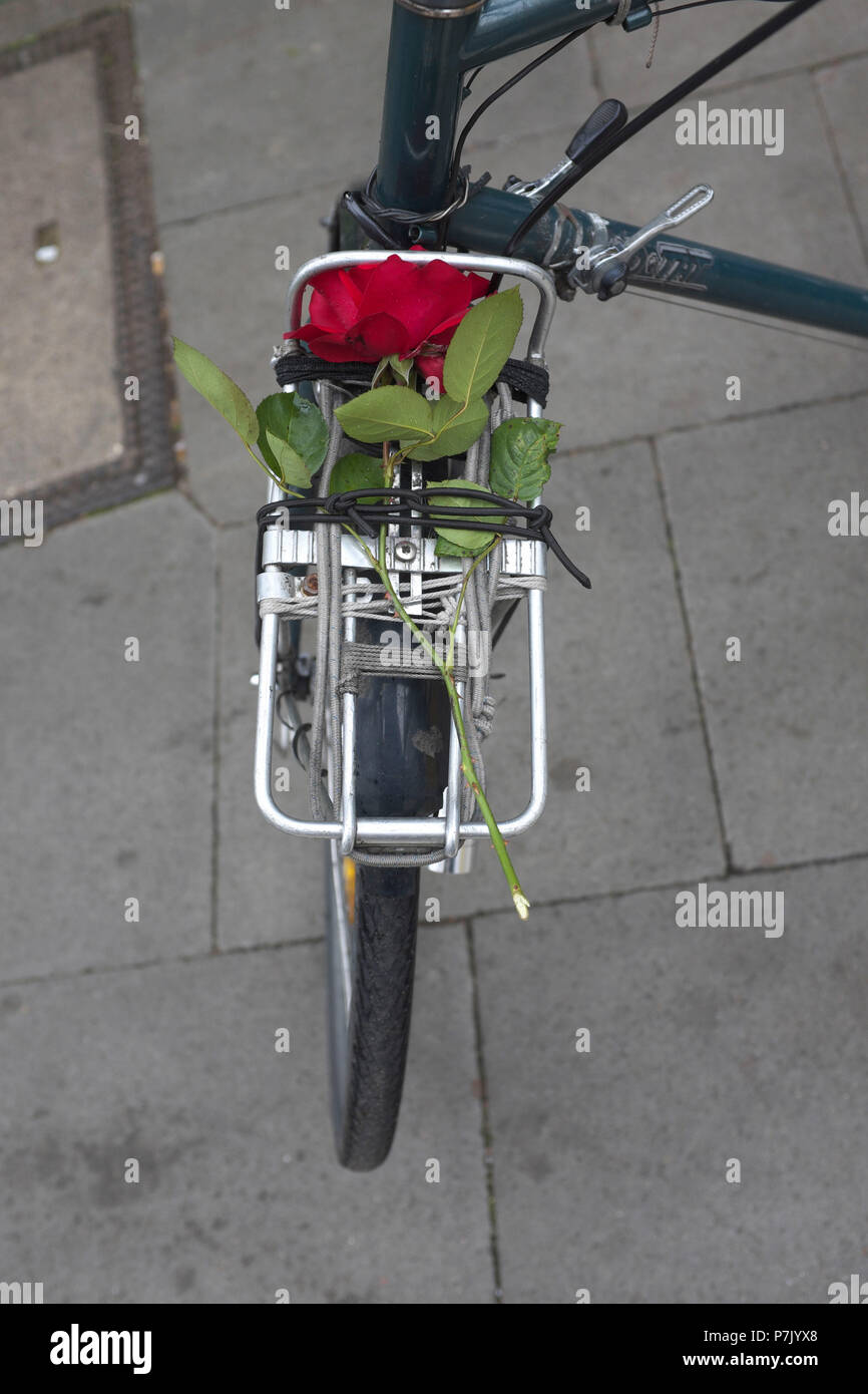 Red rose on a bike rack Stock Photo - Alamy