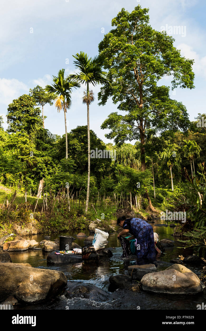 A woman washing her laundry in a small stream on the island of Pulau ...