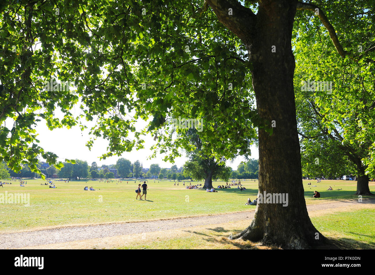 Popular Peckham Rye Common on a sunny, summer's day, in Southwark in ...