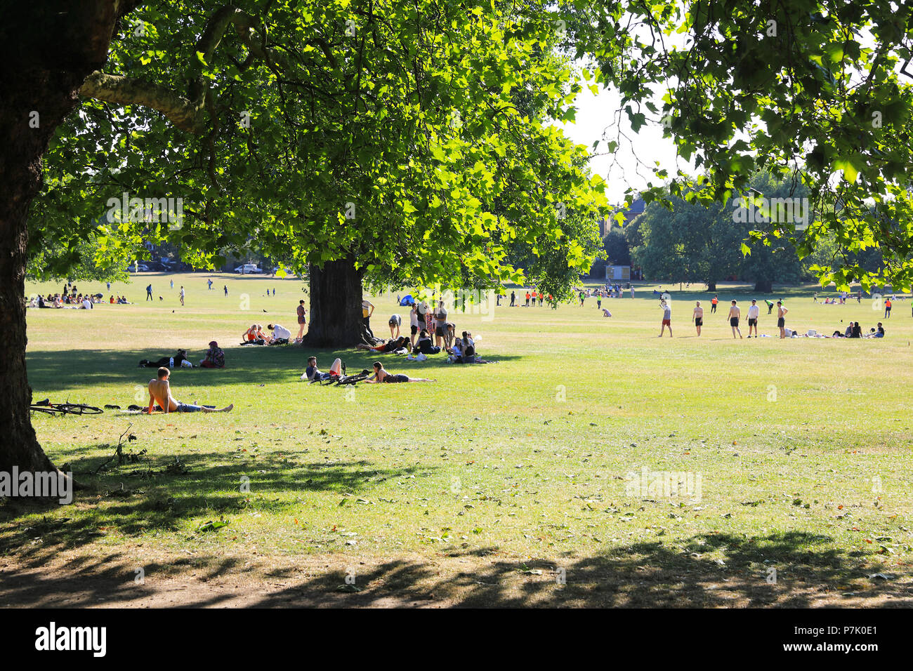 Popular Peckham Rye Common on a sunny, summer's day, in Southwark in ...