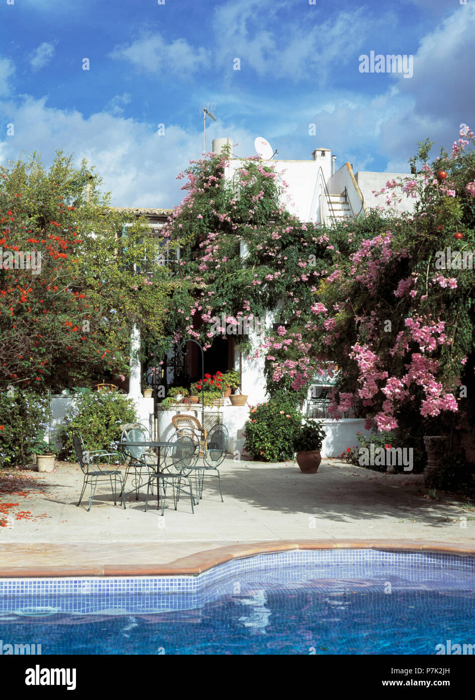 Pink climbing roses on small Mallorcan house with patio and swimming ...
