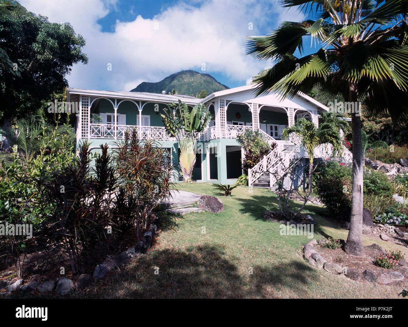 Palm trees and exotic shrubs in garden in front of traditional ...