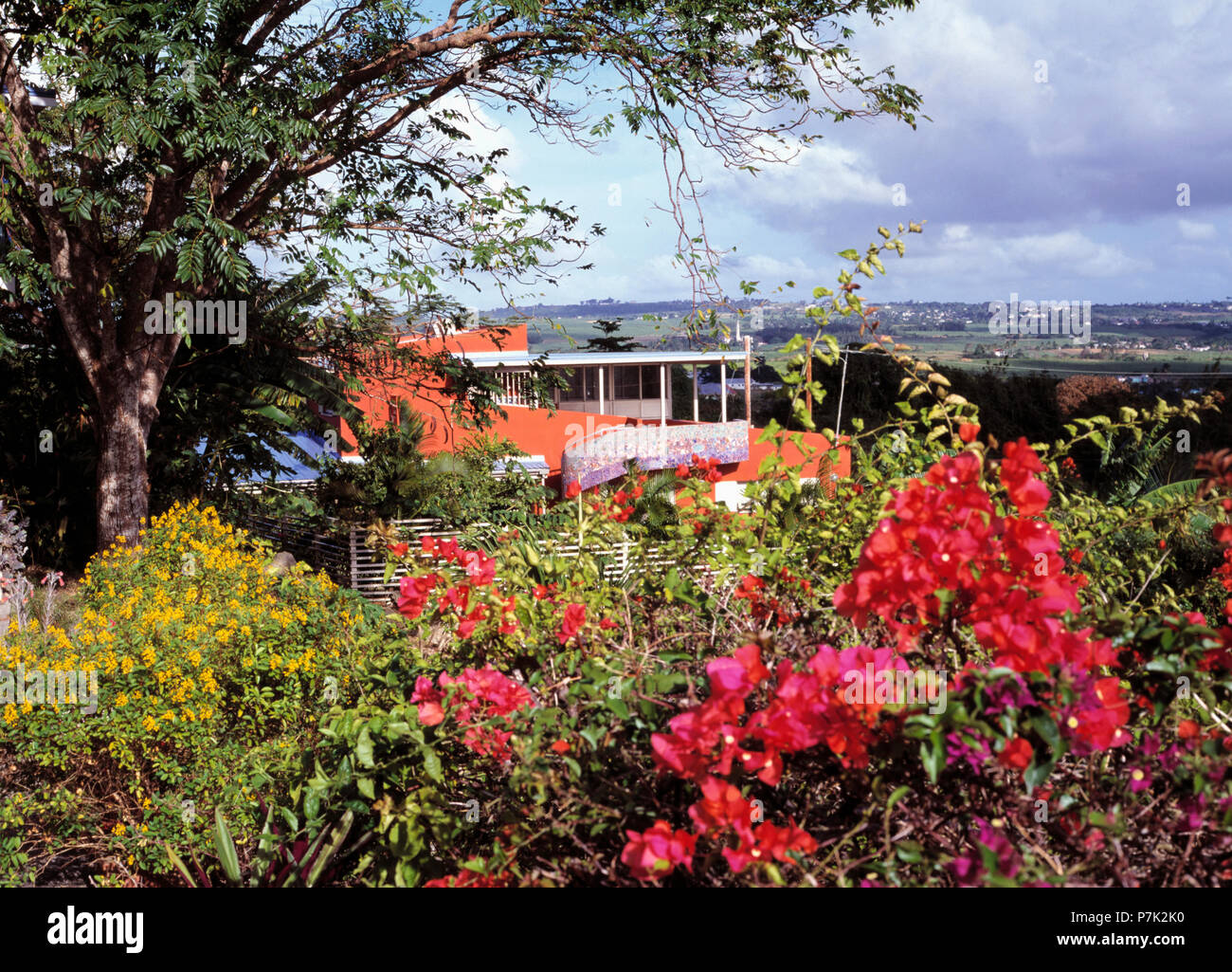 Shrub hi res hi-res stock photography and images - Alamy