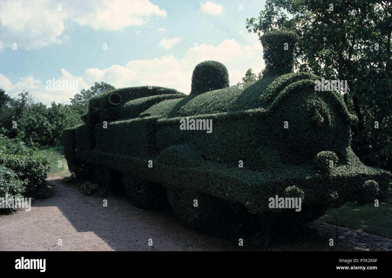 Topiary train in country garden in summer Stock Photo - Alamy
