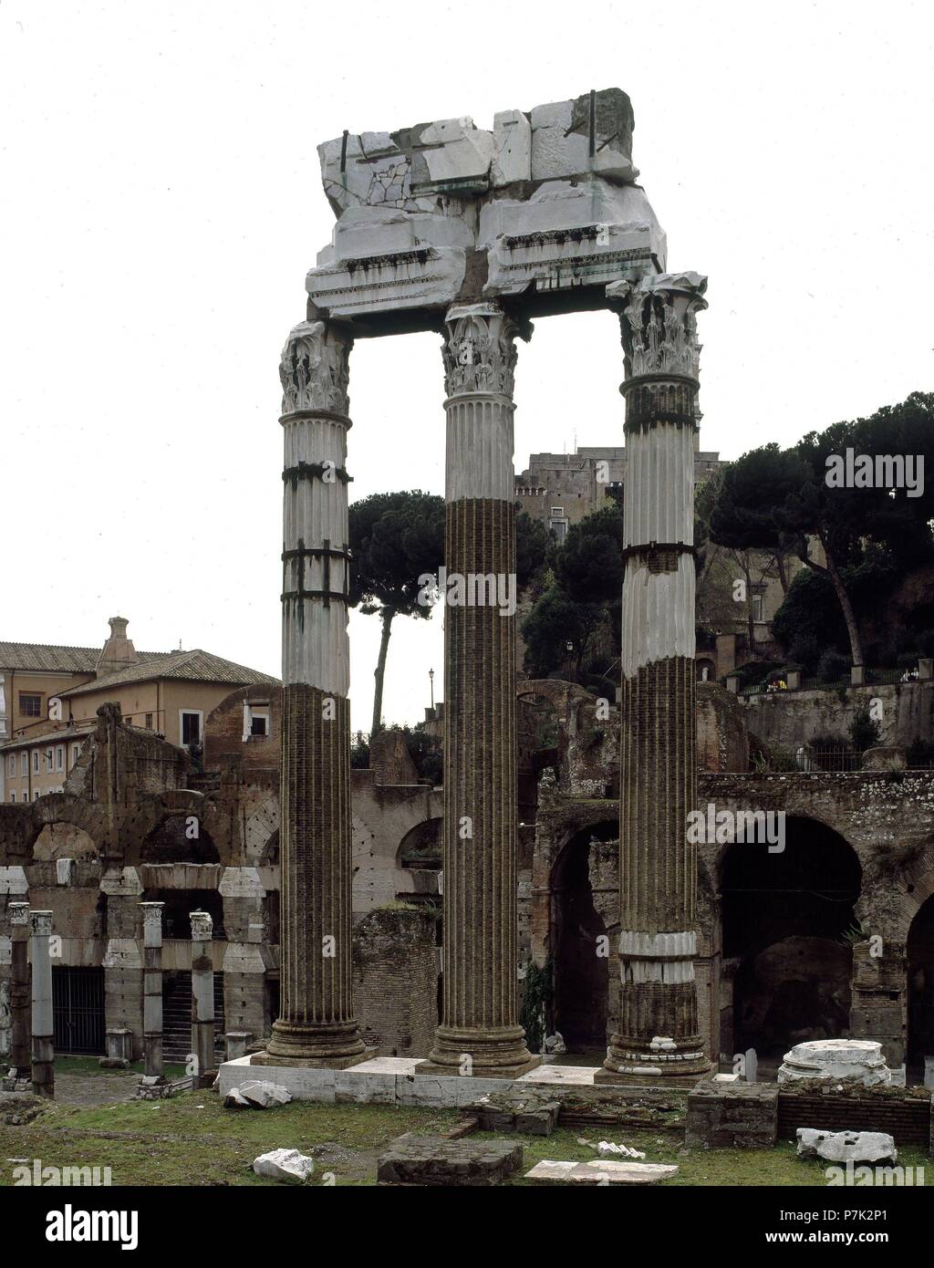 COLUMNAS CORINTIAS DEL TEMPLO DE VENUS GENITRIX EN EL FORO DE CESAR, 54 ...