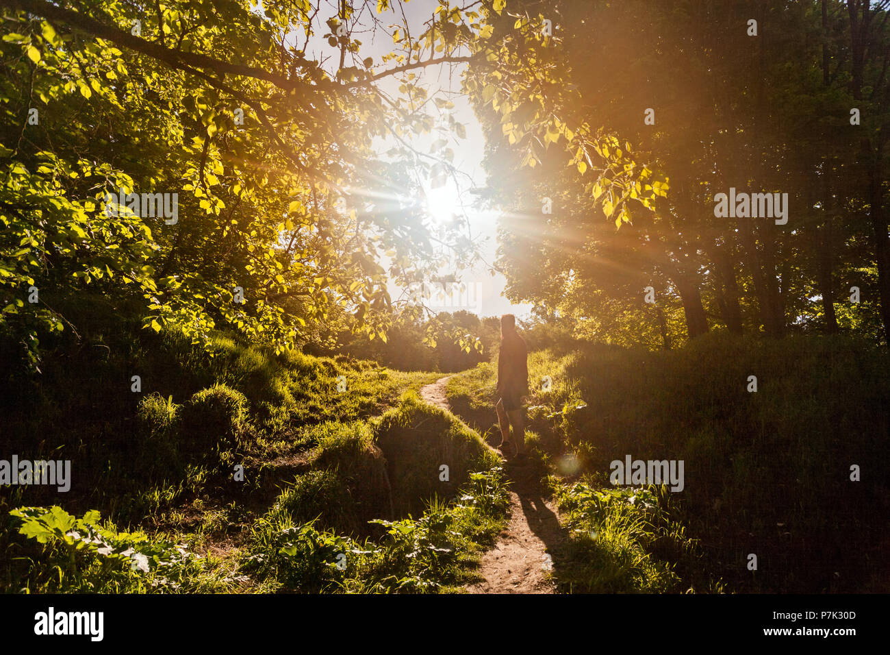 man walking on sunlit path through small woods in spring Stock Photo ...