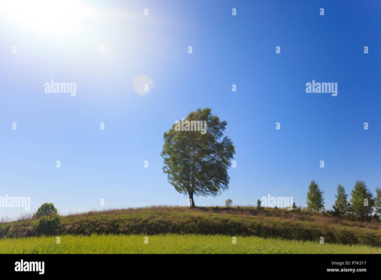 Day daytime field hi-res stock photography and images - Alamy