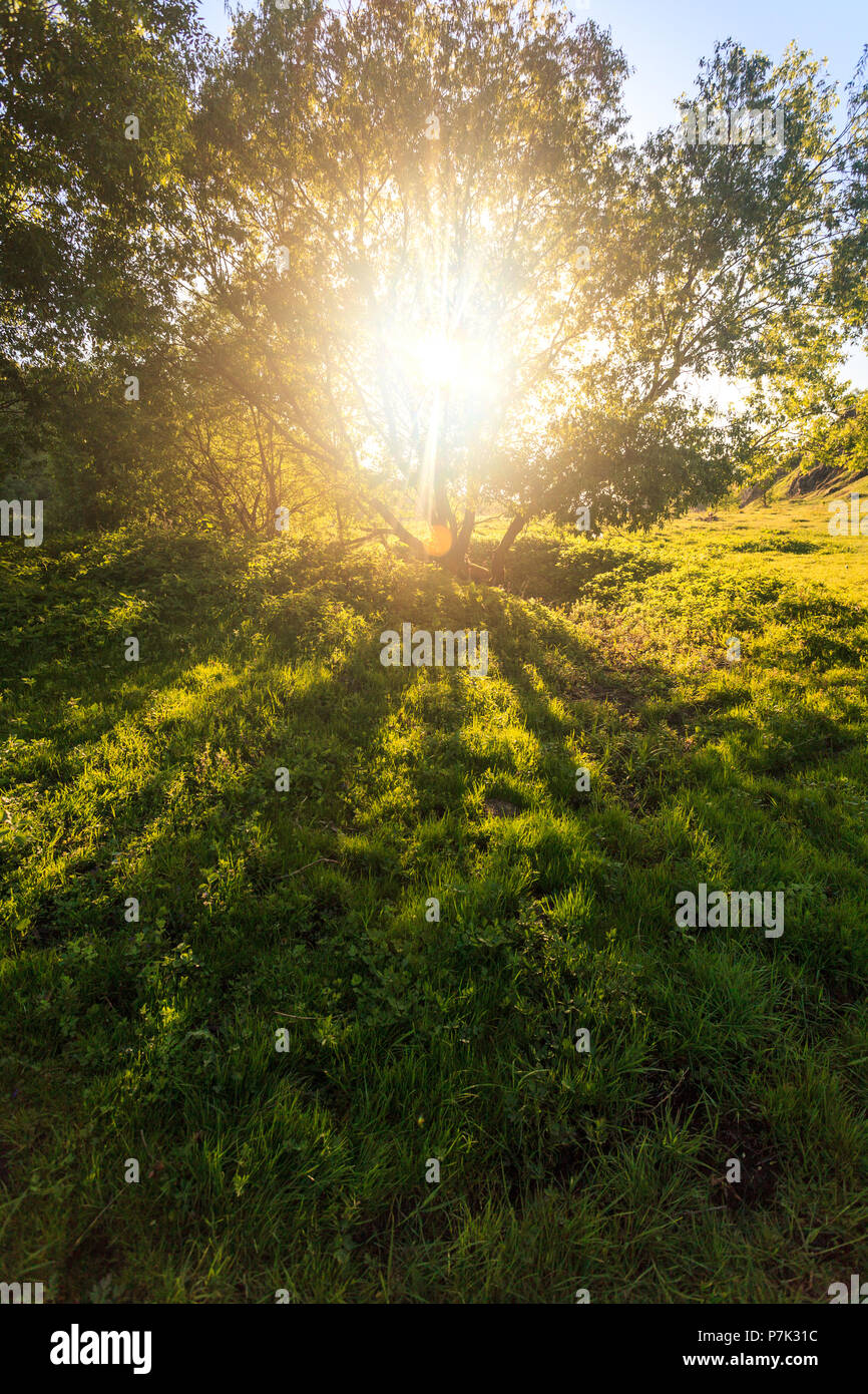 Summer summertime sun hi-res stock photography and images - Alamy