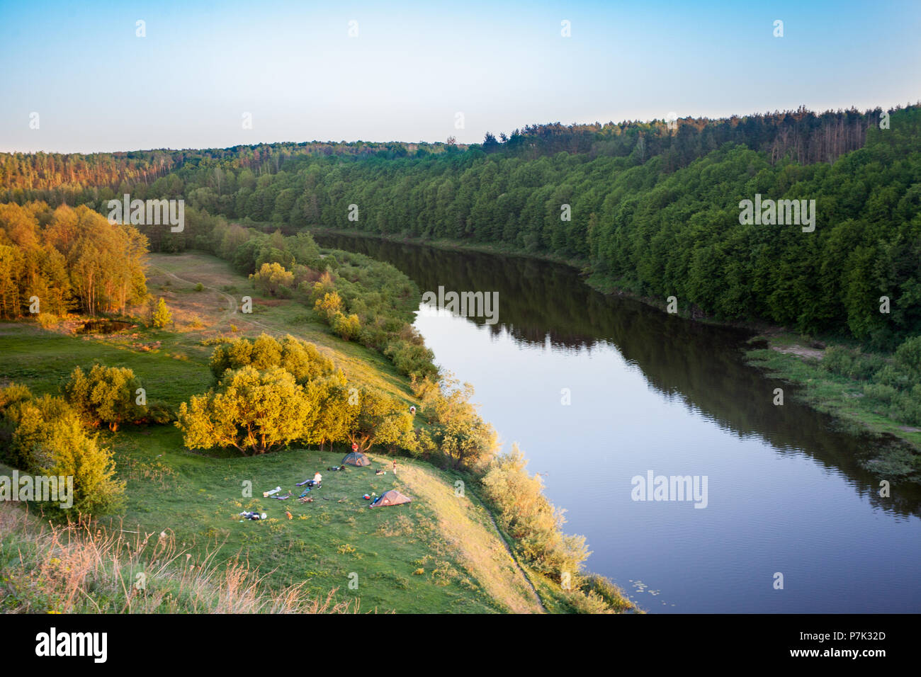 picturesque view of large river surrounded by summer forest Stock Photo ...