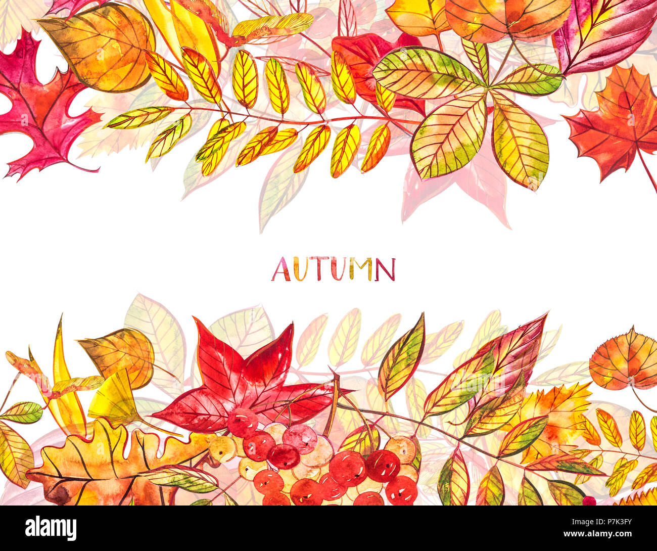 Autumn template background. Seasonal illustrations.web banner template ...