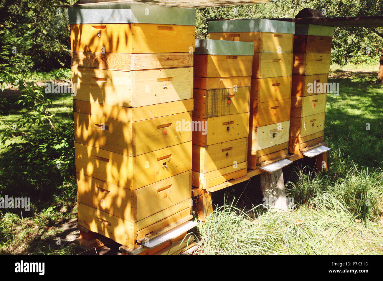 row of yellow beehives in Bohemian garden Stock Photo - Alamy