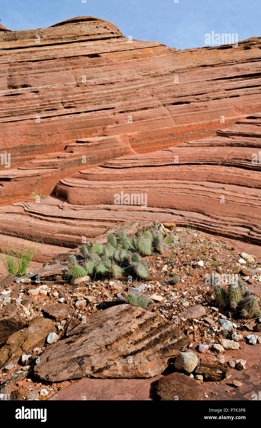 Cross bedded rocks hi-res stock photography and images - Alamy