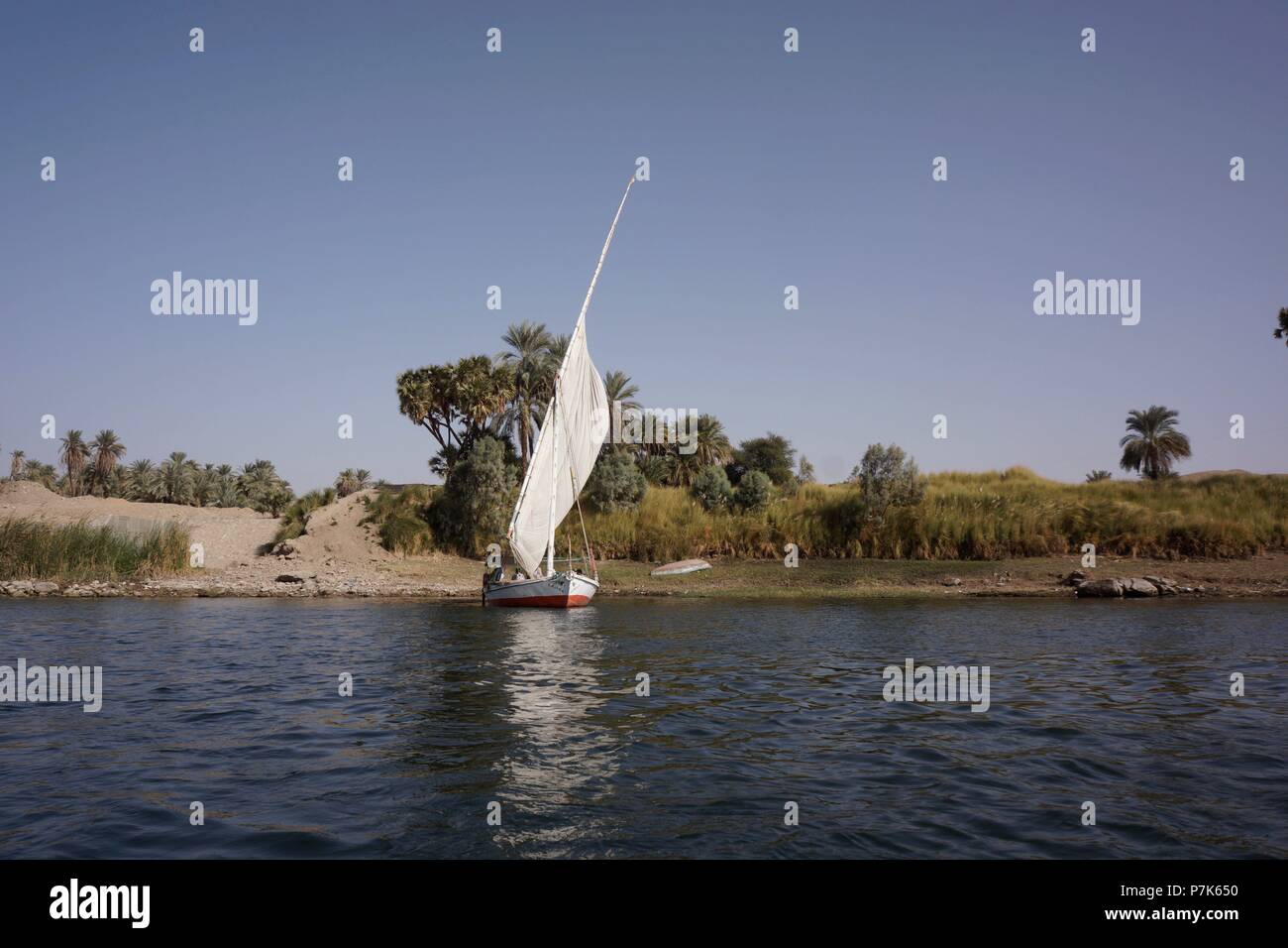 Faluca en el río Nilo Stock Photo - Alamy