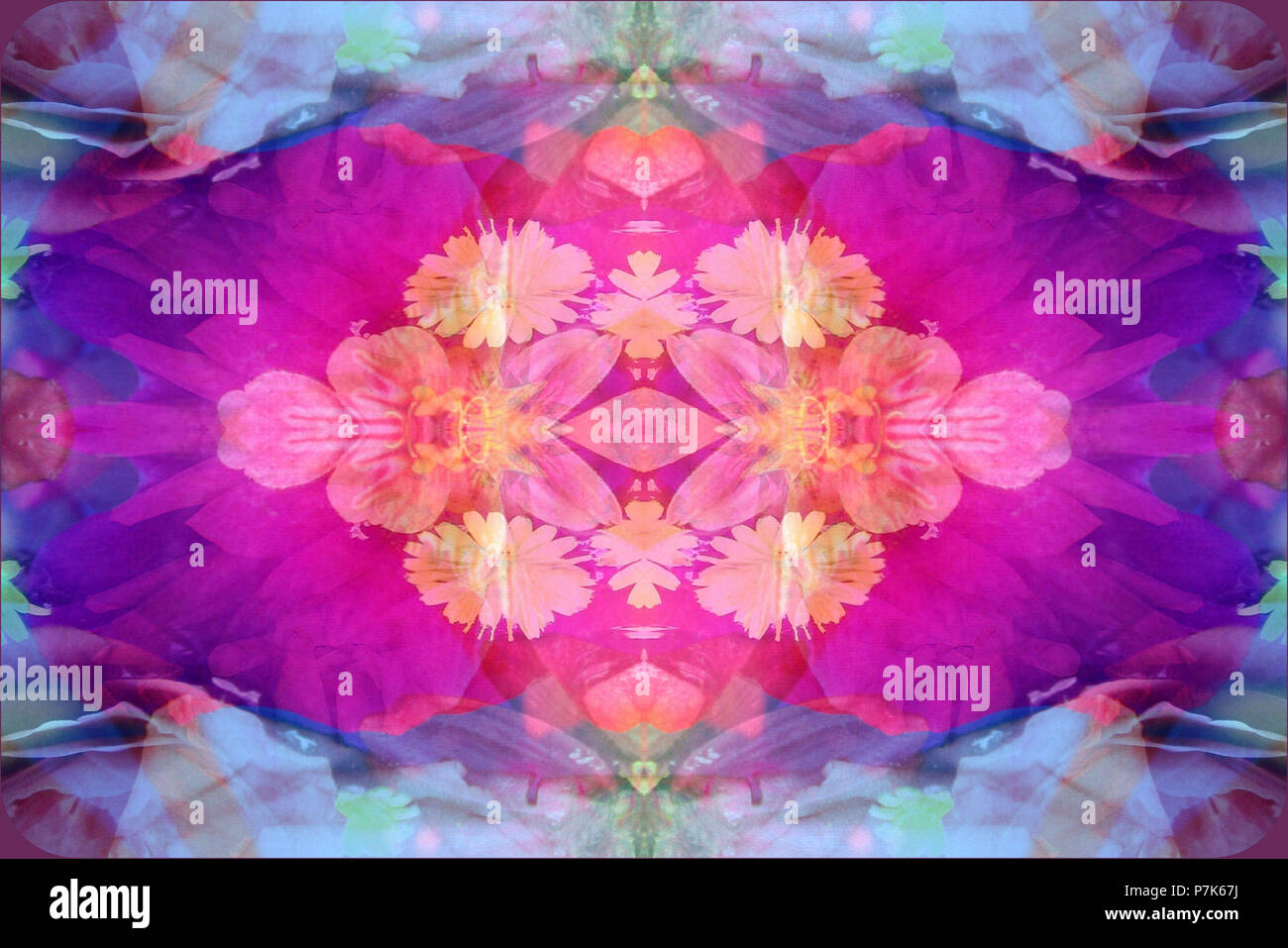Photographic flower pattern, symmetrical Stock Photo - Alamy