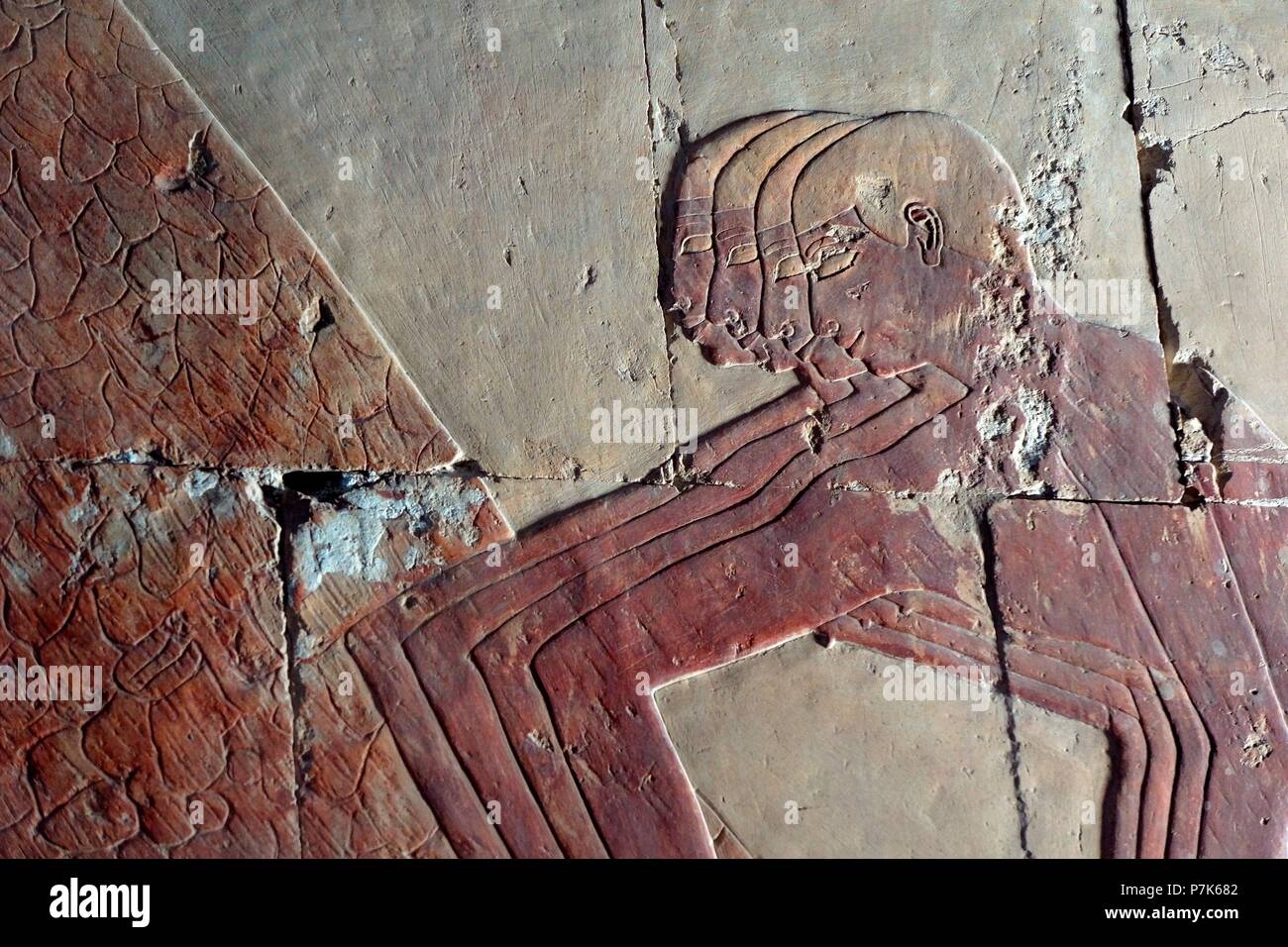 Hatshepsut temple punt relief hi-res stock photography and images - Alamy