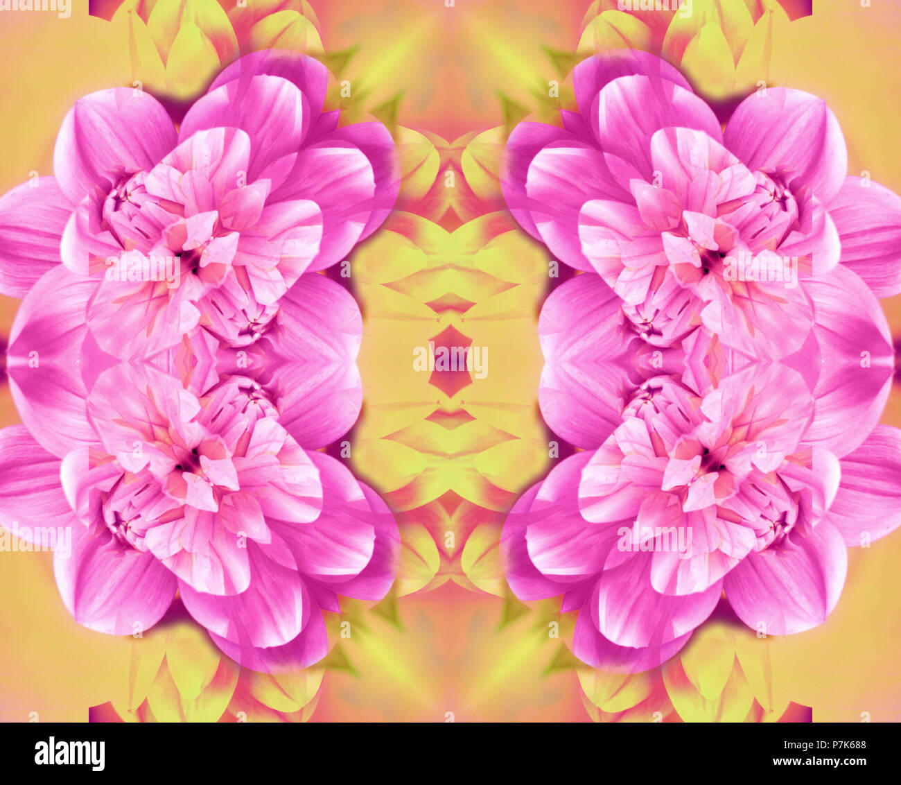 Symmetrical flower pattern hi-res stock photography and images - Alamy