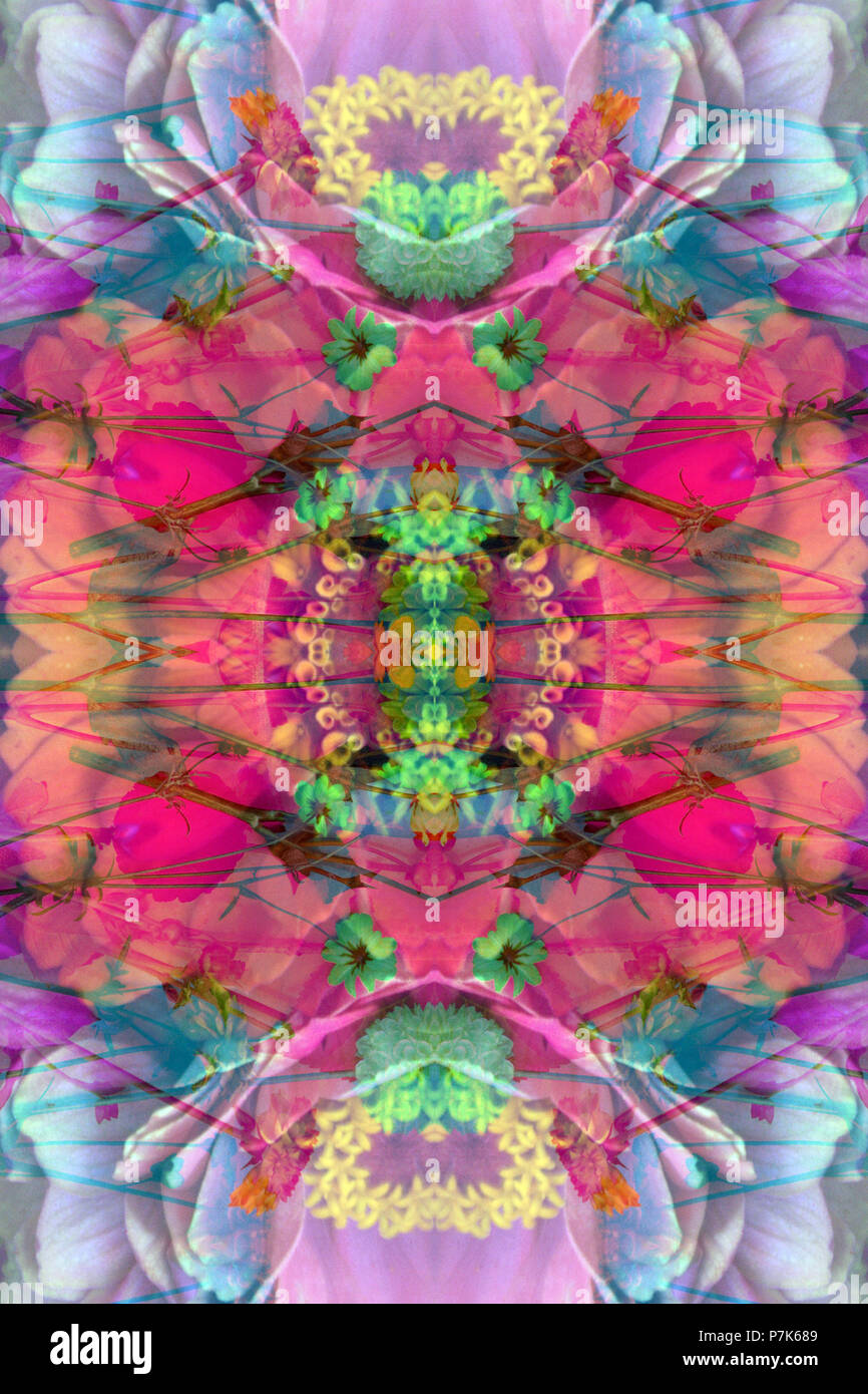 Photographic flower pattern, symmetrical Stock Photo - Alamy