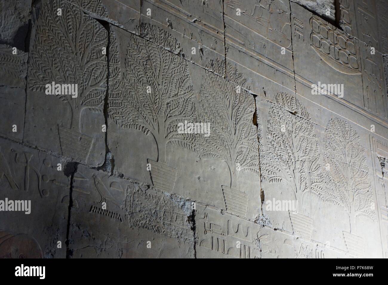 Hatshepsut temple punt relief hi-res stock photography and images - Alamy