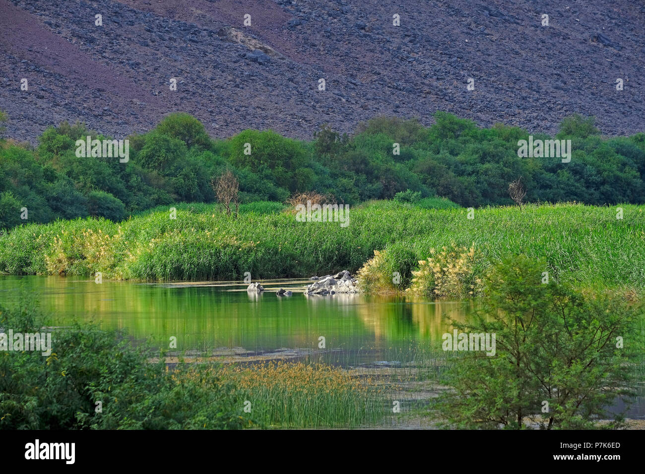 Rocky mountain range on the South African side of the reed-rich Orange ...