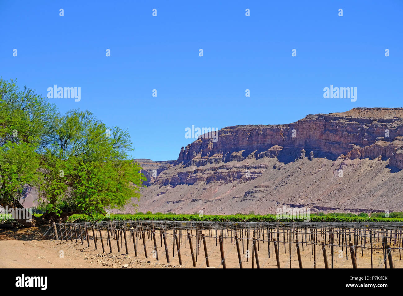 South Africa Namibia Border High Resolution Stock Photography and ...