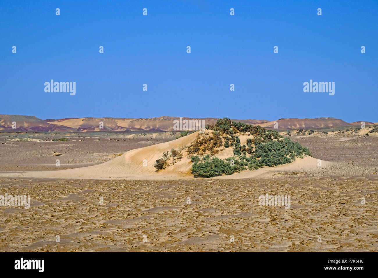 Gibber plains hi-res stock photography and images - Alamy