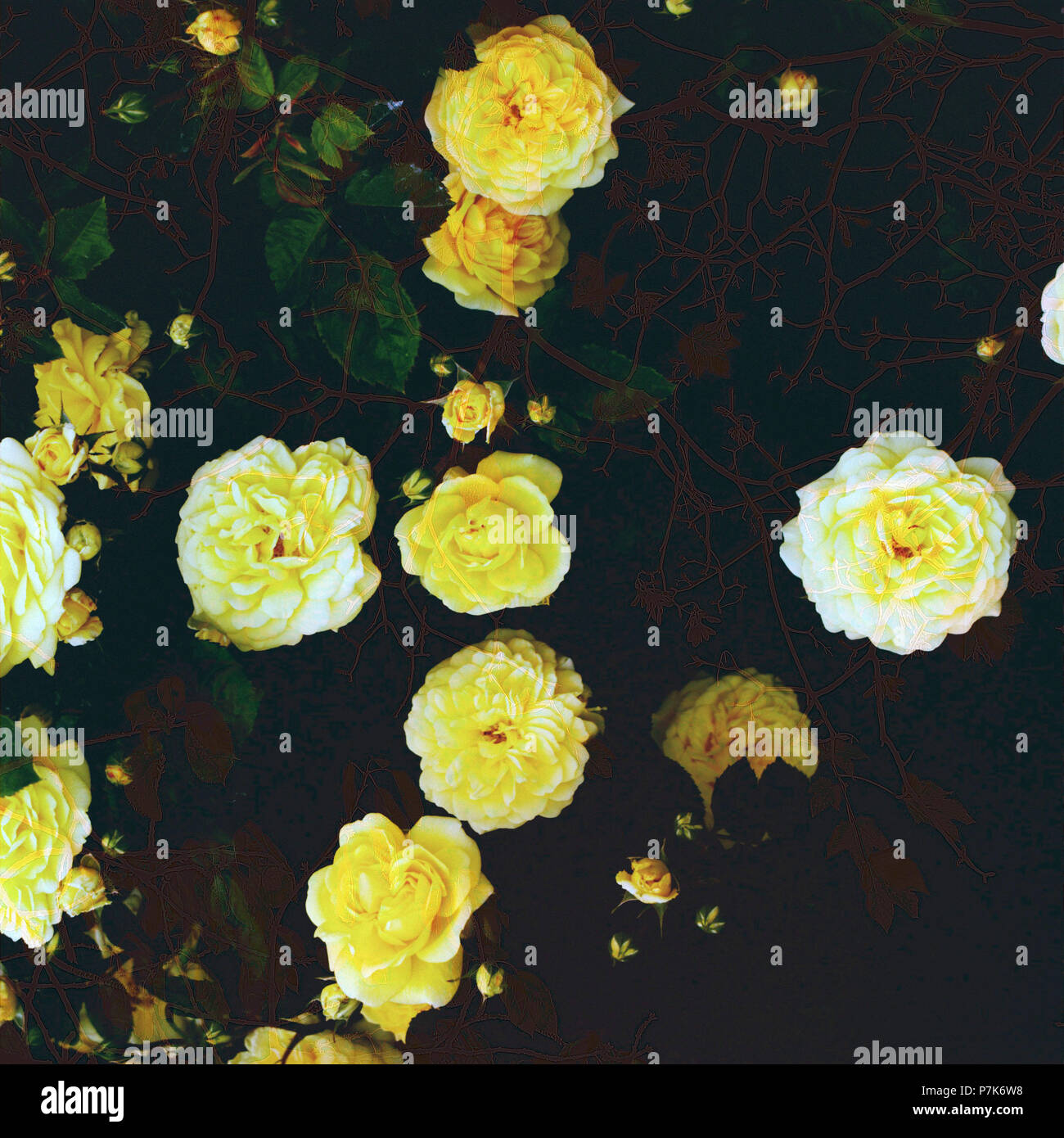 Floating colors hi-res stock photography and images - Alamy