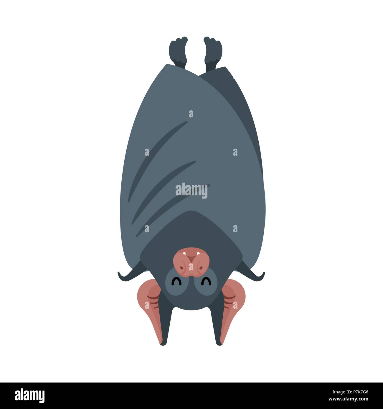 Bat sleep isolated. Night animals vampire. Vector illustration Stock ...