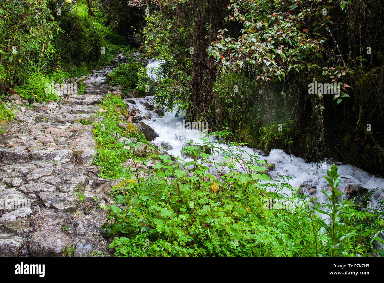 Ancient Inca Trail paved path to the lost city of Machu Picchu. Peru ...
