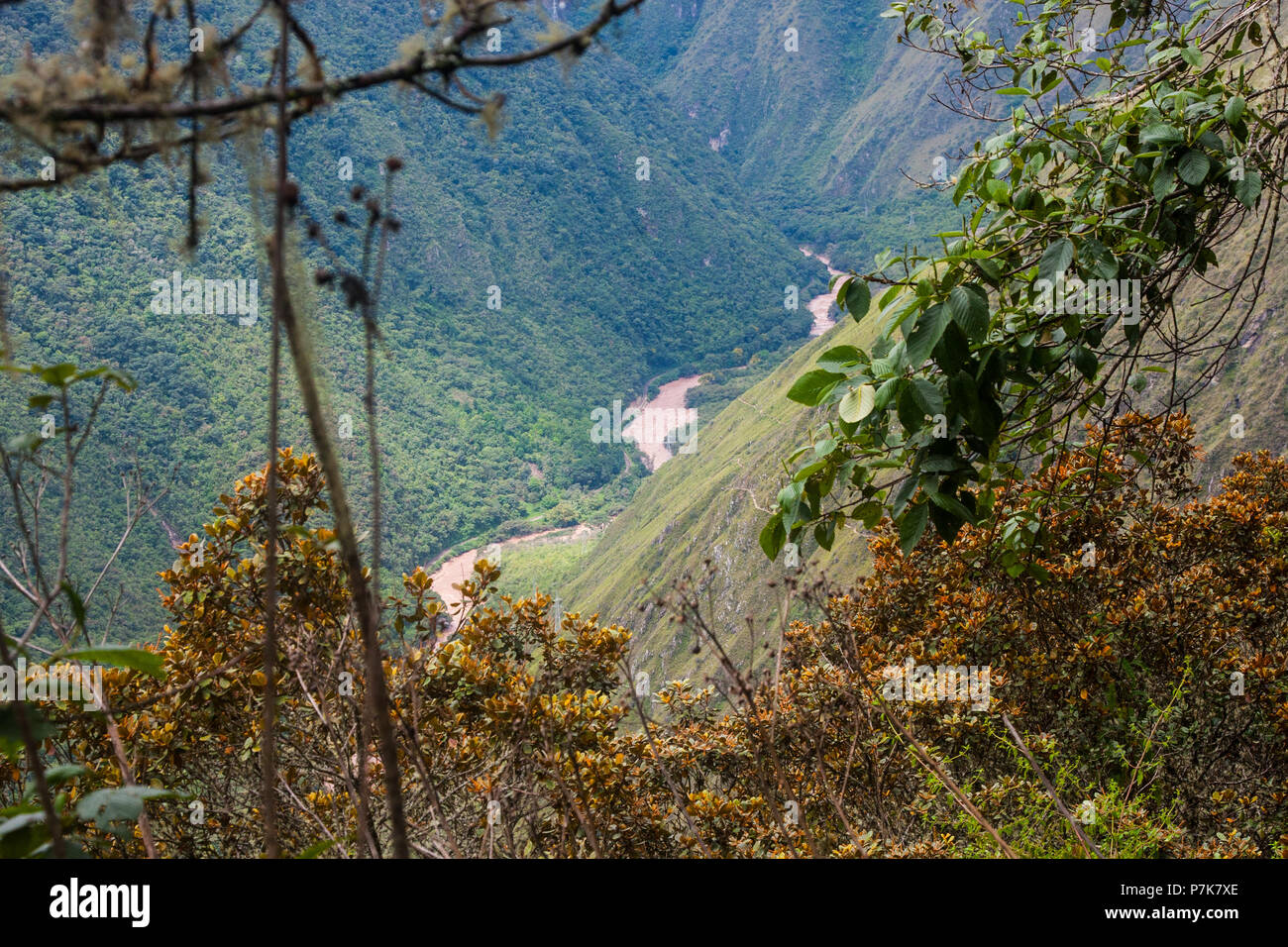 A red water river in the valley surrounded by the wild nature of the ...
